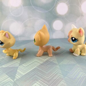 Littlest Pet Shop Tan Kitty Cats You Pick - Etsy