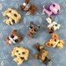 LPS Punkiest Pets, Lizard, Frog, Fairy, Gecko, Iguana, Chameleon ...