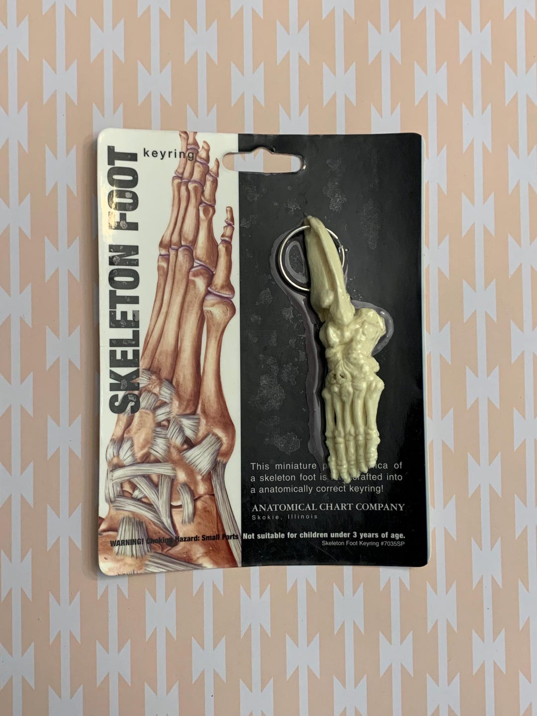 NOS - 3D Skeleton Foot Model Keyring - by Anatomical Chart Company 2003 ...