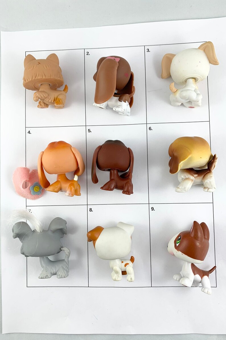 Authentic Littlest Pet Shop Pick a Pet Doggy Edition - Etsy
