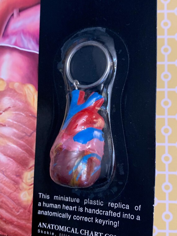 NOS - 3D Human Heart Model Keyring by Anatomical Char… - Gem