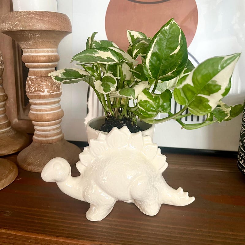Dinosaur Plant Pot - Etsy