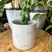 Ceramic Standing Eatser Bunny Planter Pot/ White Rabbit Planter Pot ...