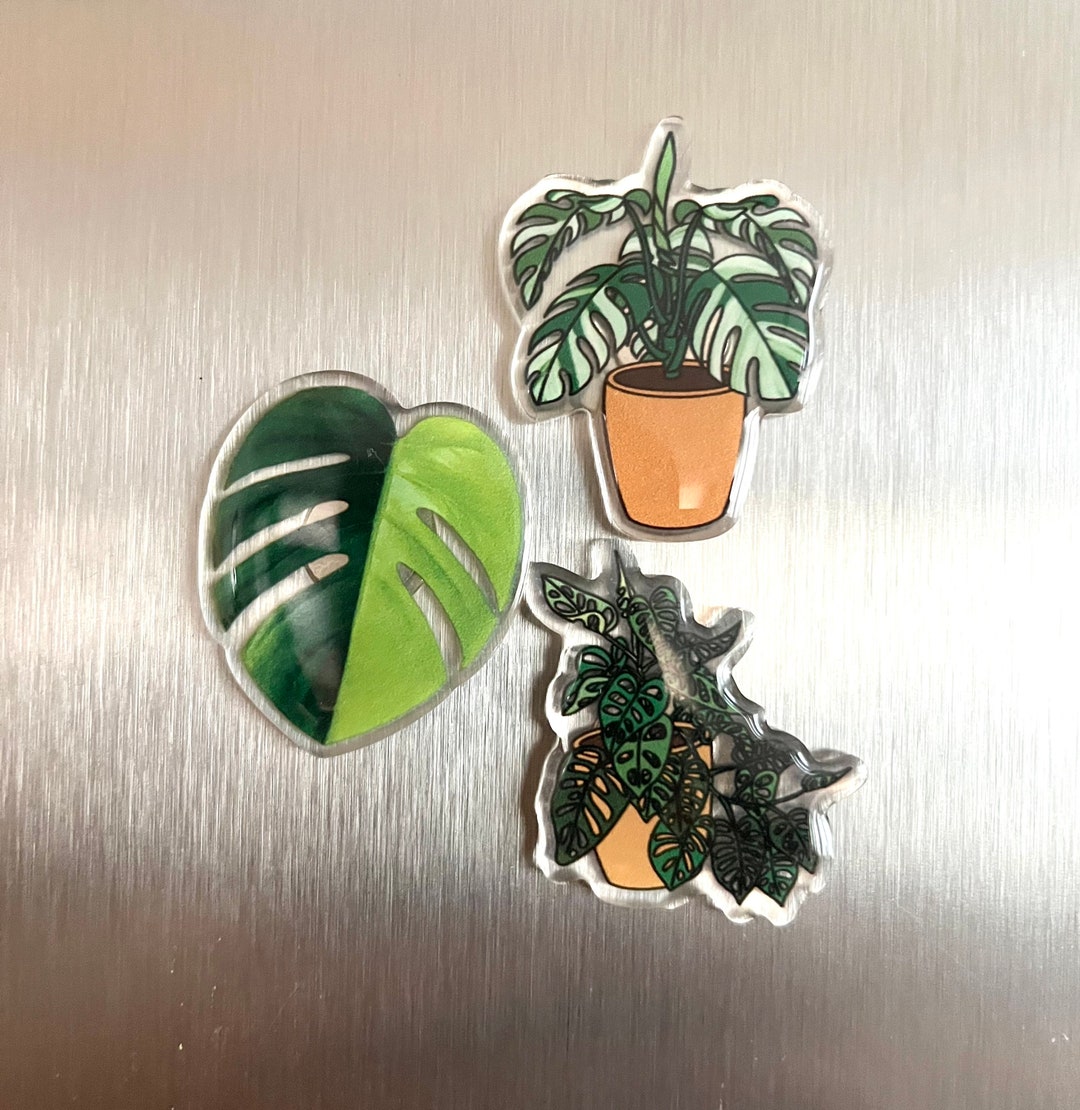 Potted Monstera Adansonii Swiss Cheese Fridge Magnet, Cute Cubicle ...
