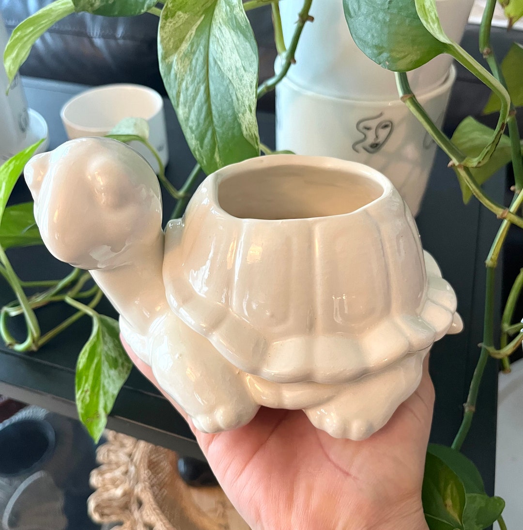 Cute Ceramic Turtle Planter Pot/ Modern Minimalist off White Planter ...