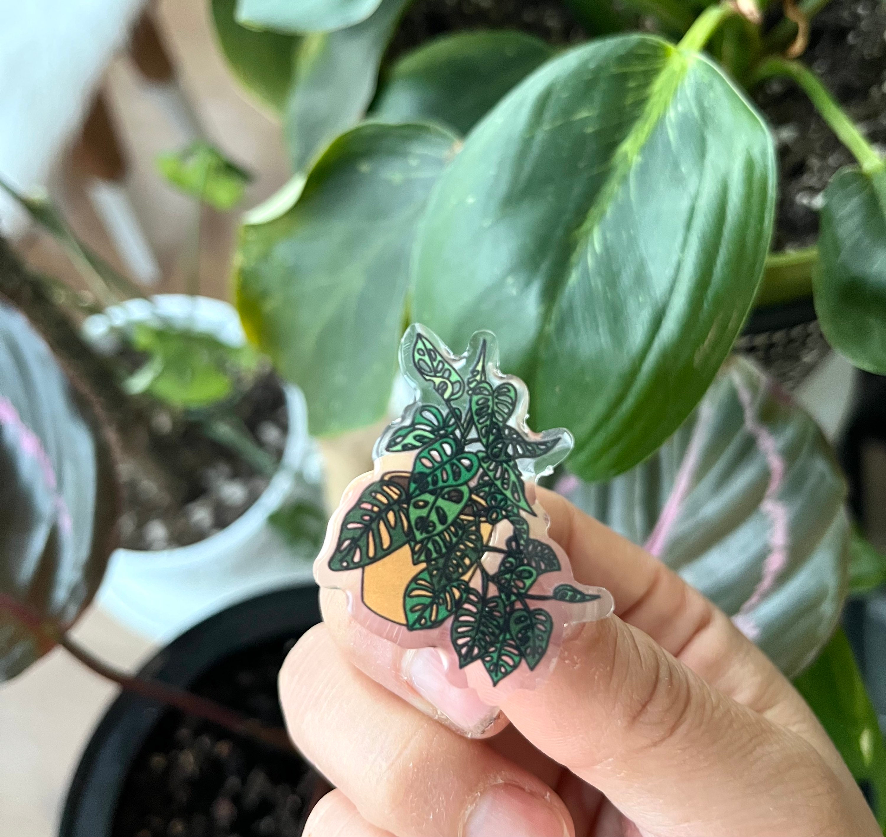 Monstera Adansonii Potted Plant Charm for Shoes Crocs Plant | Etsy