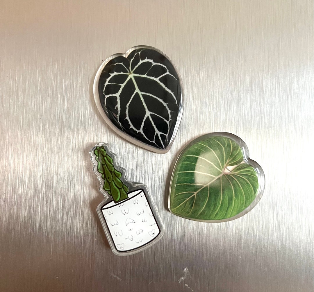 Boobie Cactus Fridge Magnet, Cute Cubicle Decor, Locker Magnet ...