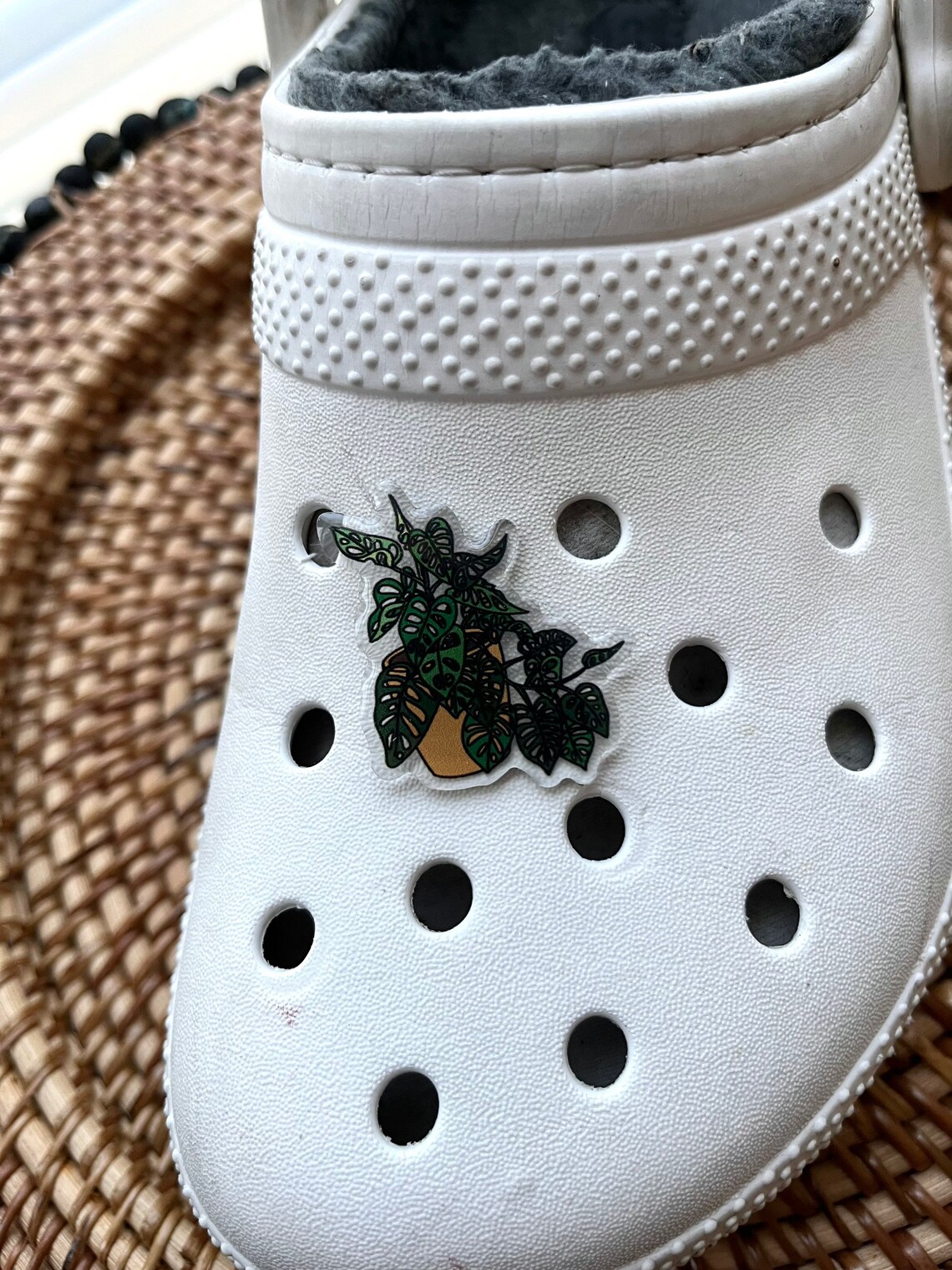 Monstera Adansonii Potted Plant Charm for Shoes Crocs Plant | Etsy