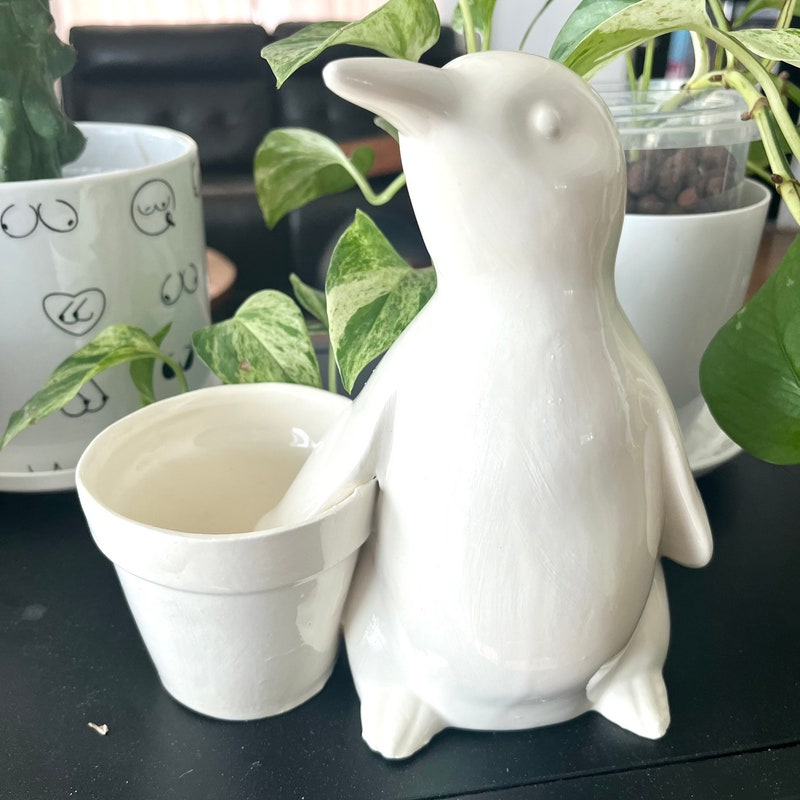 Penguin Plant Pot - Etsy