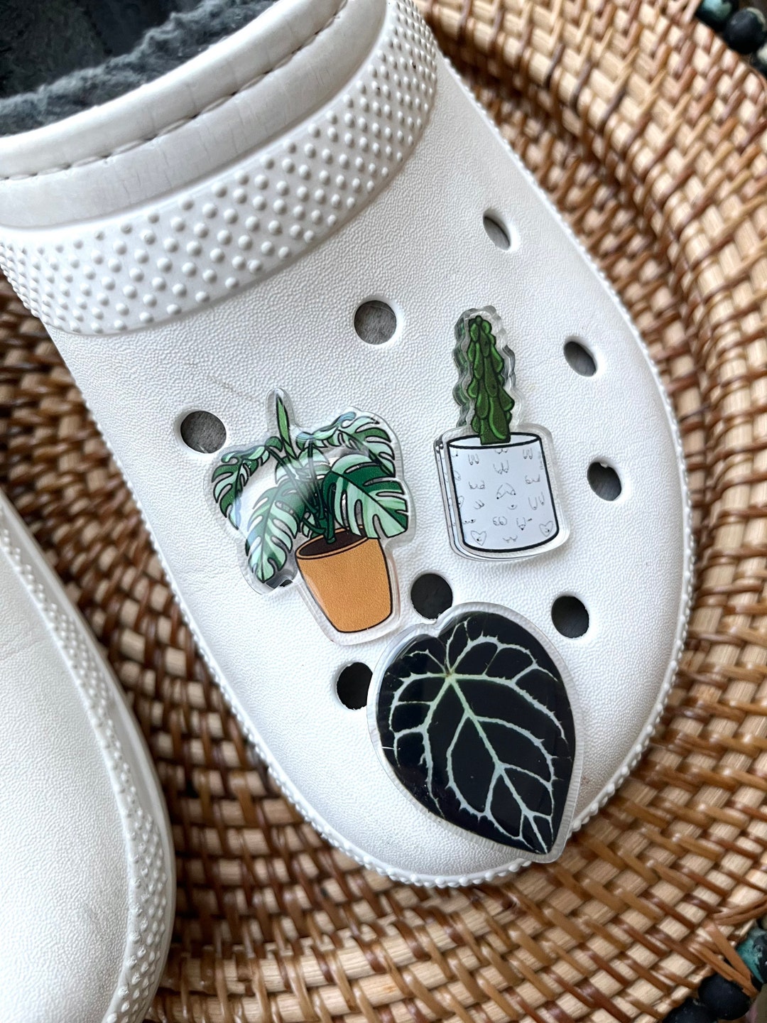 Myrtillocactus Geometrizans Cactus Charm for Shoes, Pin Charm for Shoes ...