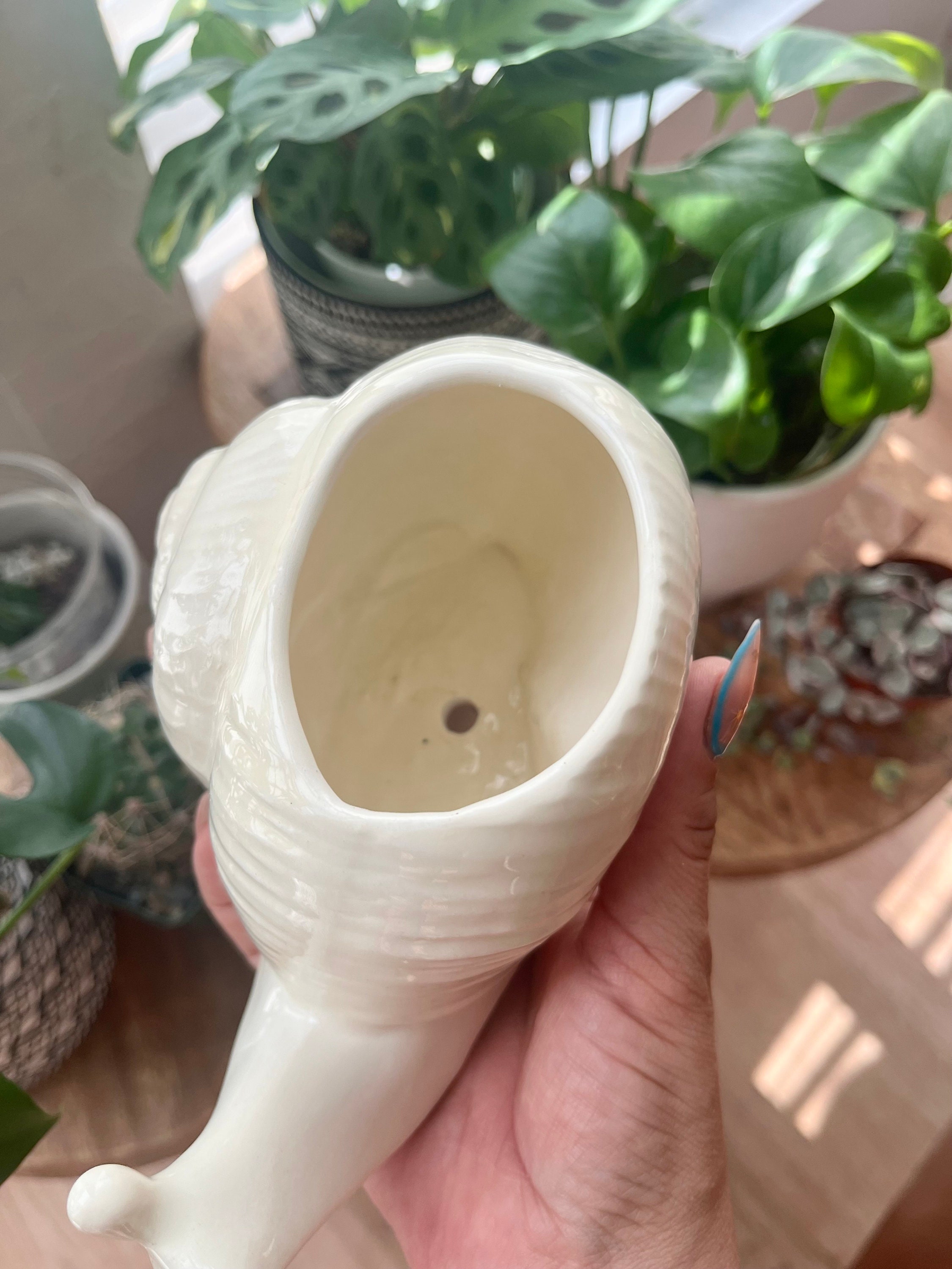 Ceramic Snail Planter Pot, Off-white Succulent Planter, Minimalist Home ...