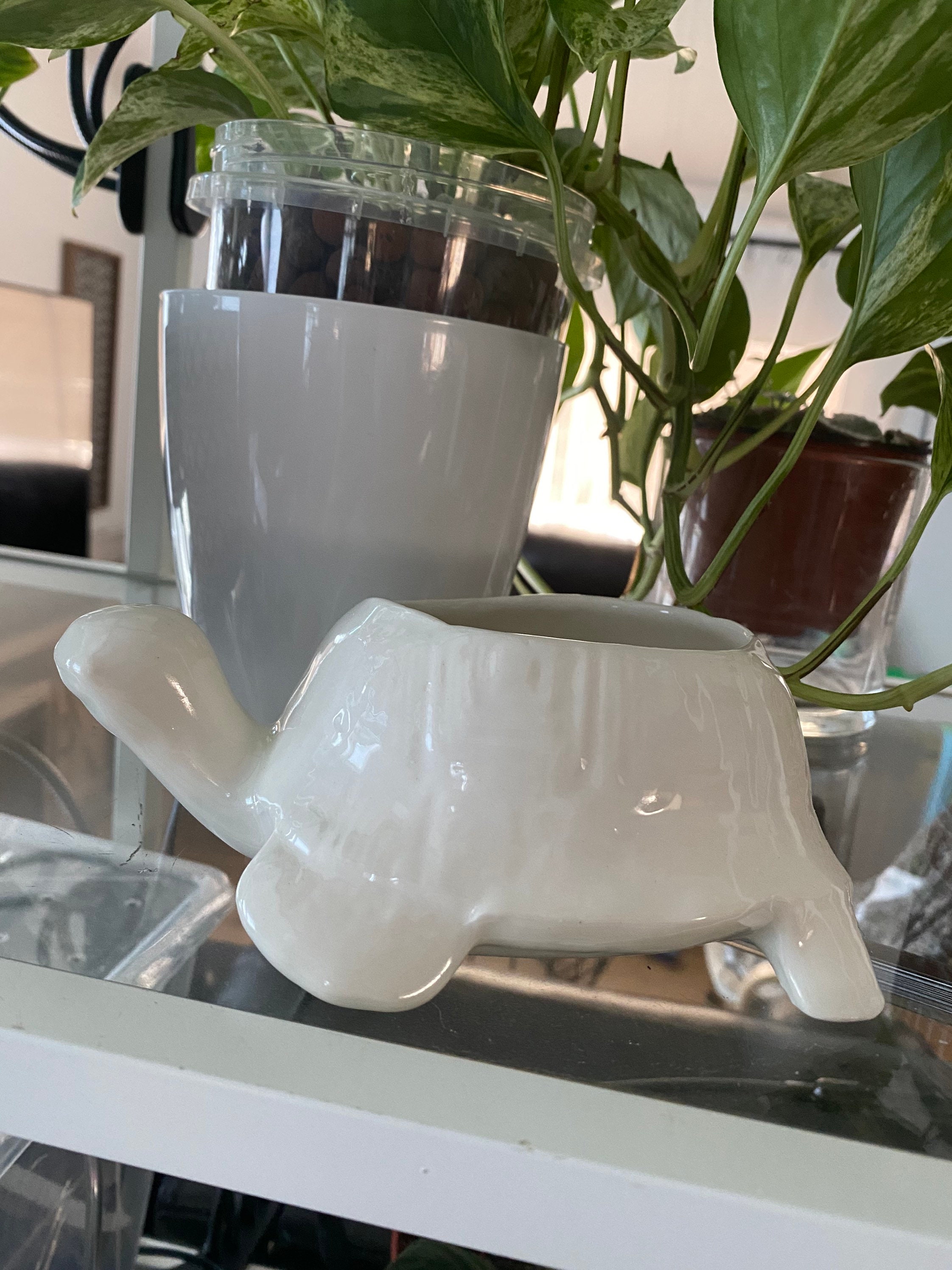 Turtle Planter - Etsy