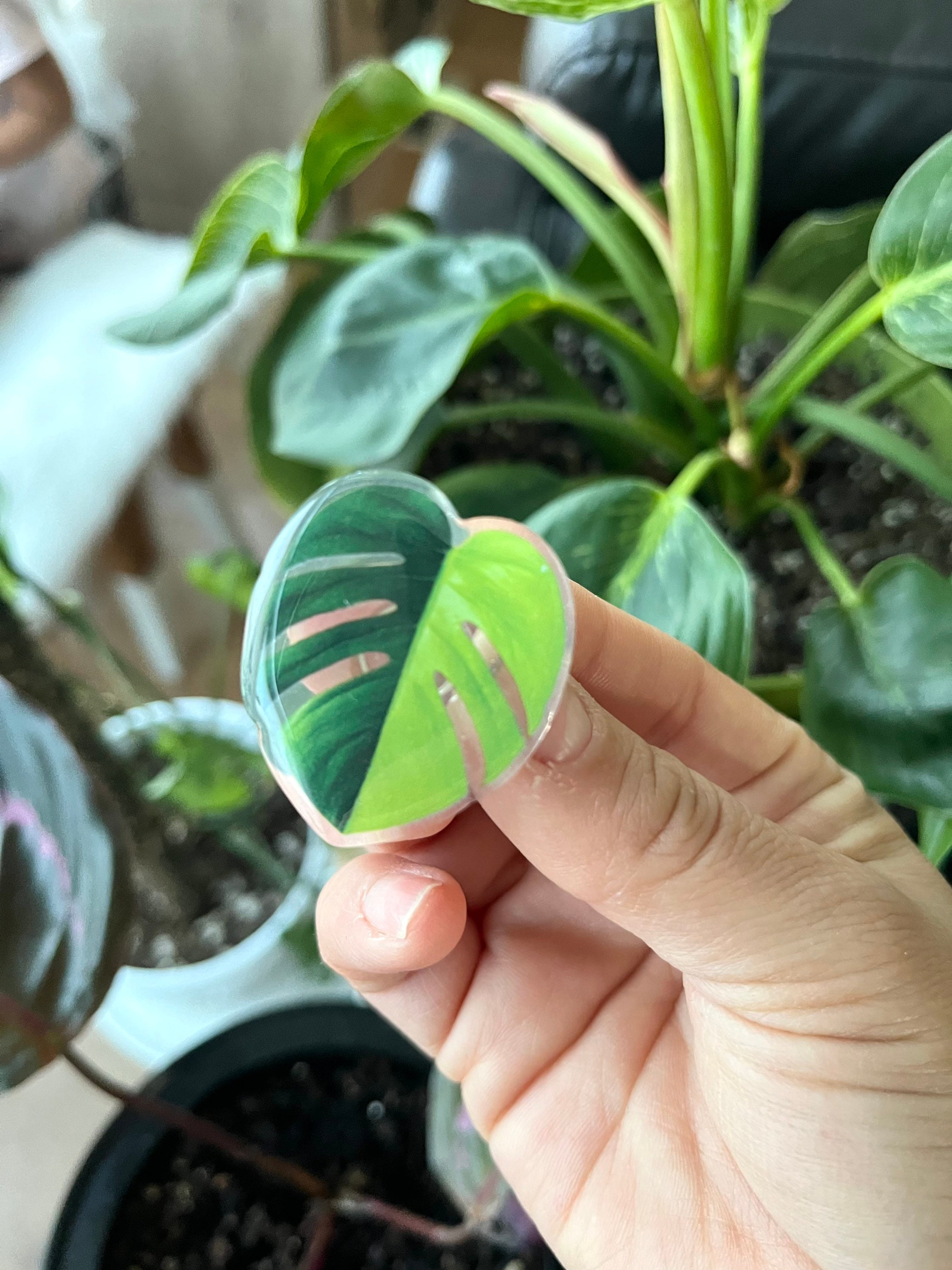 Monstera Aurea Plant Leaf Charm for Shoes Crocs Plant Charm | Etsy