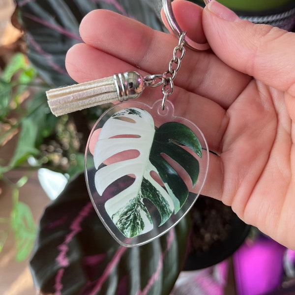 Acrylic Houseplant - Etsy