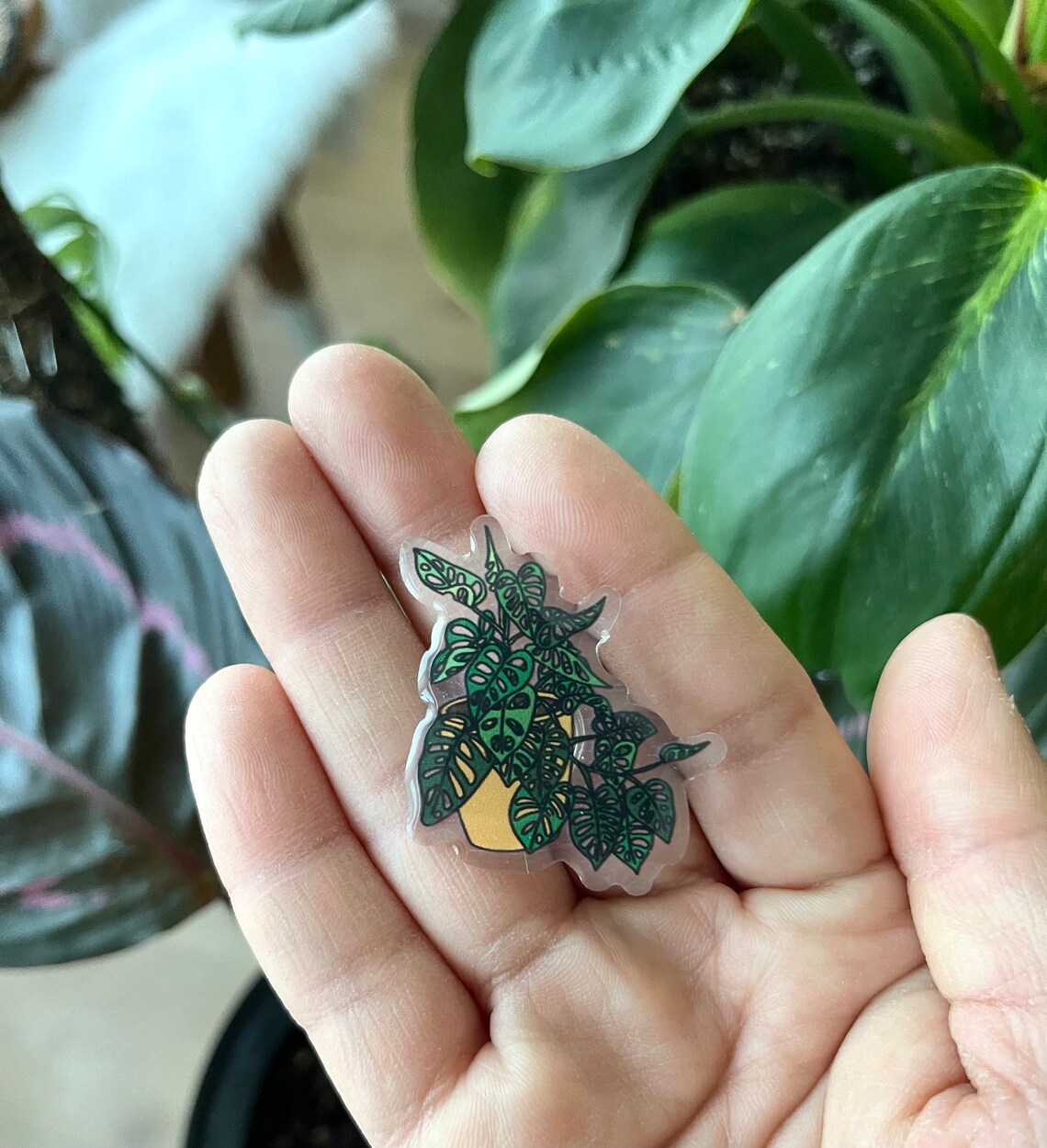 Monstera Adansonii Potted Plant Charm for Shoes Crocs Plant | Etsy