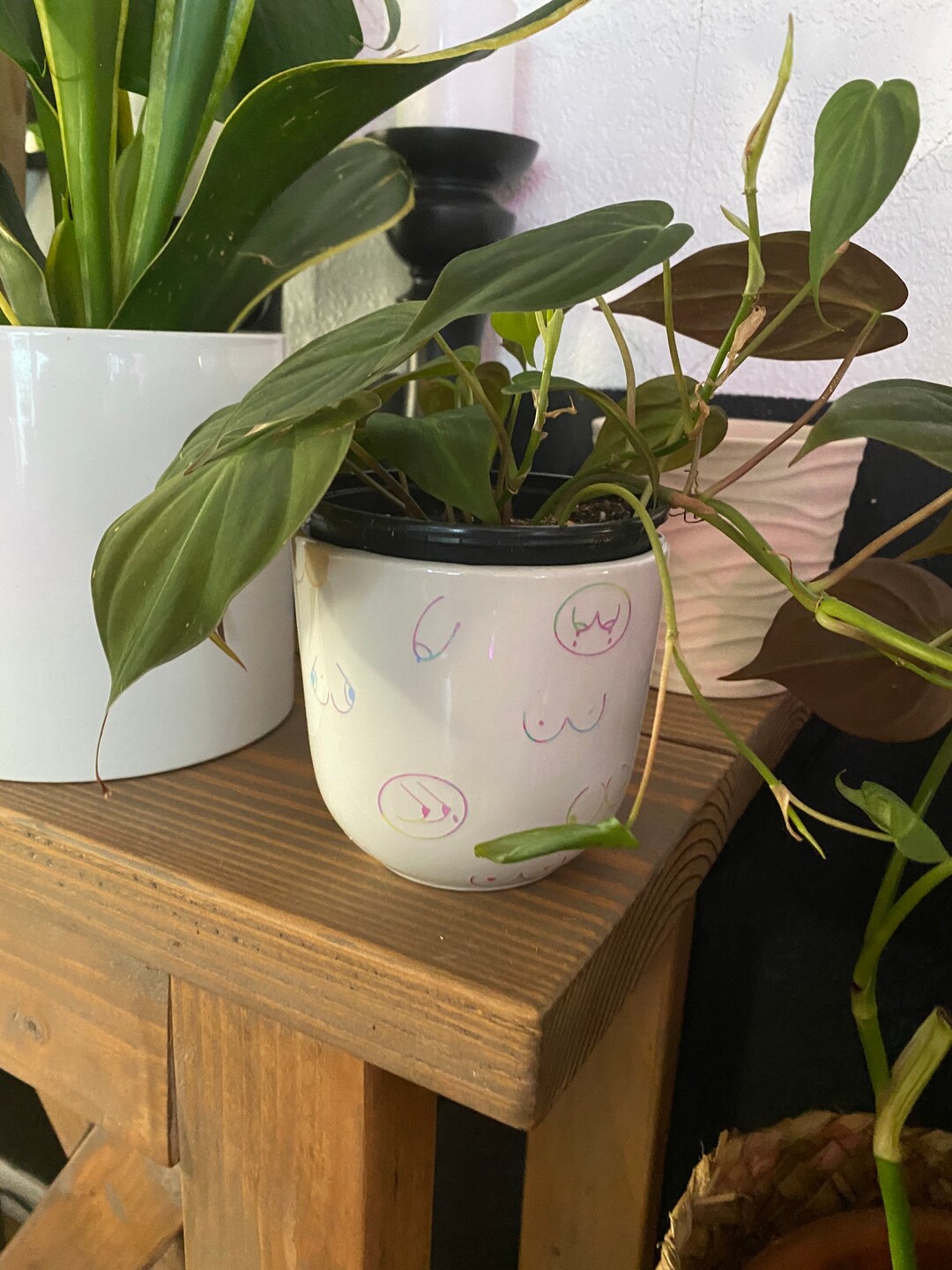 Body Positivity Ceramic ROUND 4 Pride Rainbow Planter Pot, Modern ...