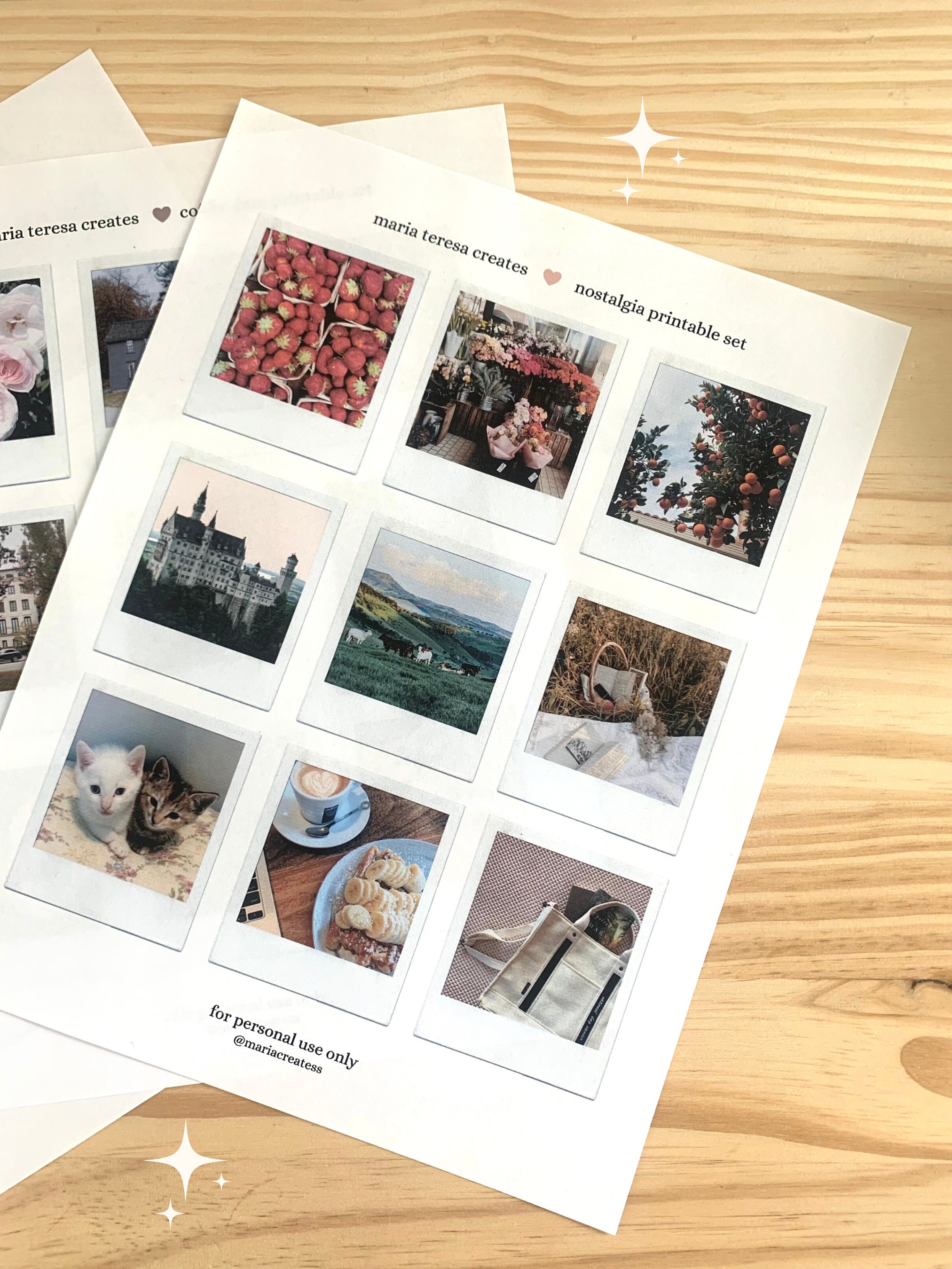 Polaroid Cottagecore Sticker Set Photo Stickers Printable - Etsy