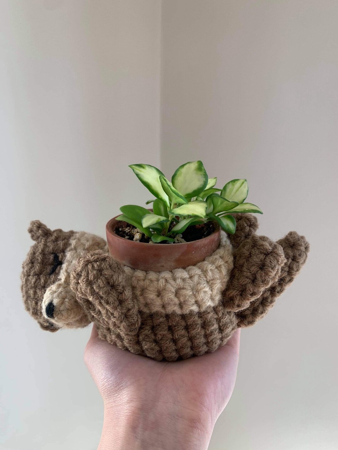 Otter Plant Cozy (large or Small) - Etsy