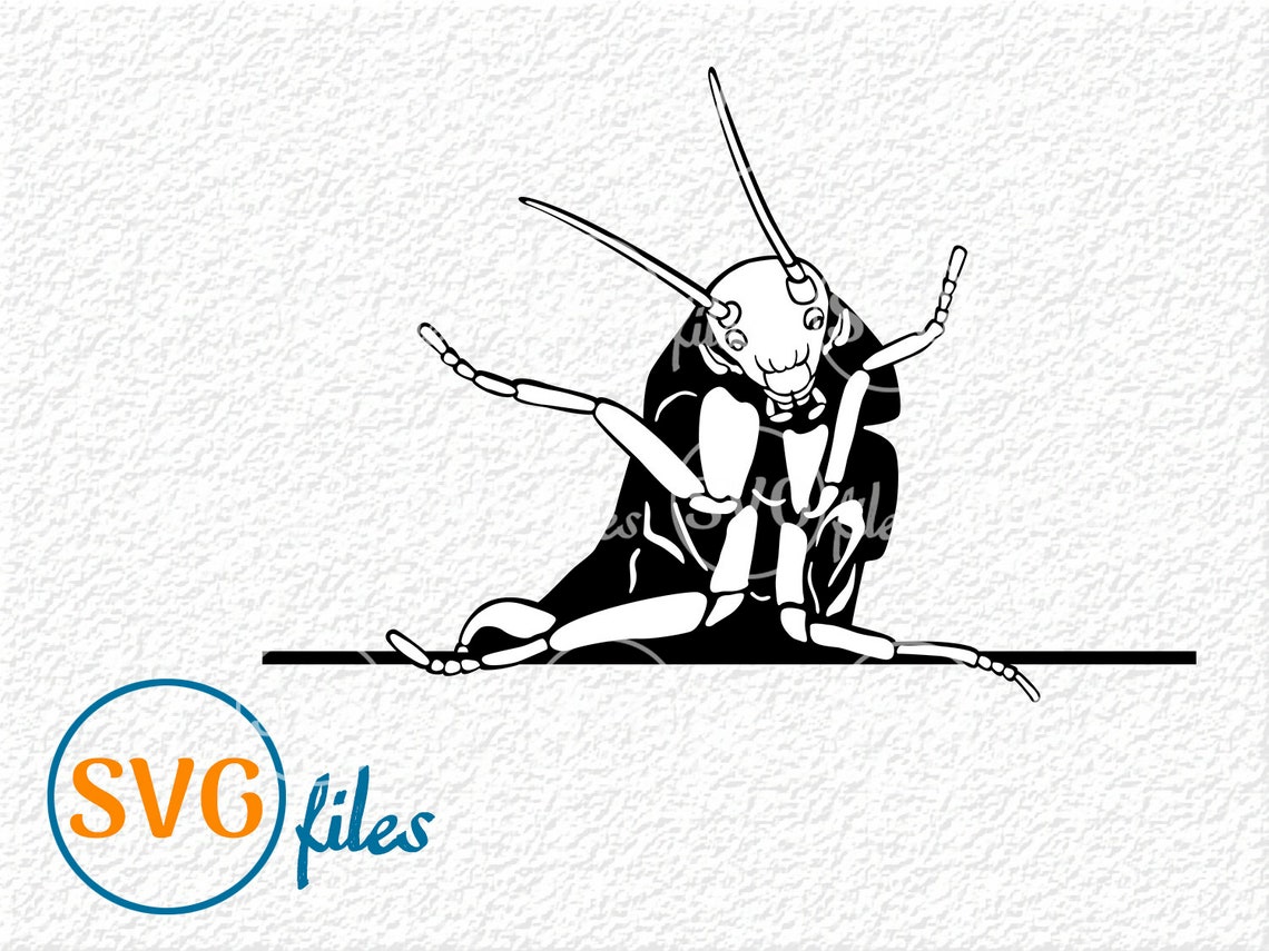 Cockroach SVG Roach Svg Cricut Silhouette Dxf Cut File Die | Etsy