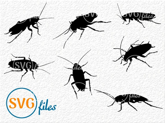 Visual Arts Craft Supplies & Tools Cockroach #2 SVG Cockroach Png ...