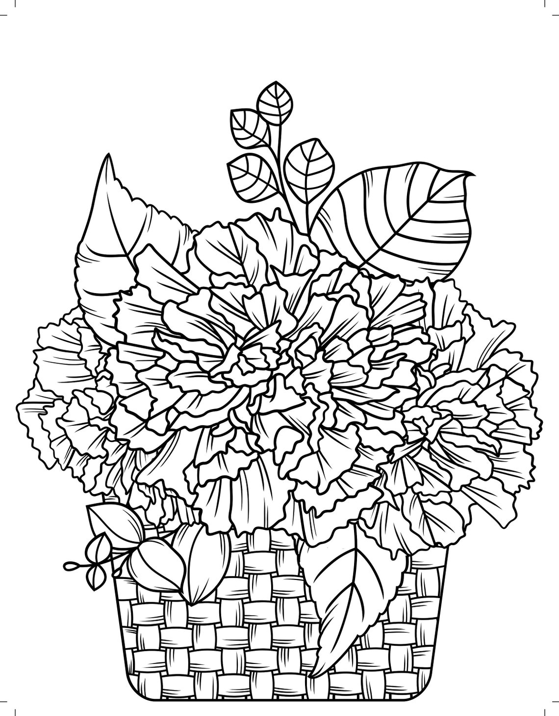 Wildflowers 10 Page Coloring Bundle - Etsy