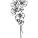 Wildflowers 10 Page Coloring Bundle - Etsy