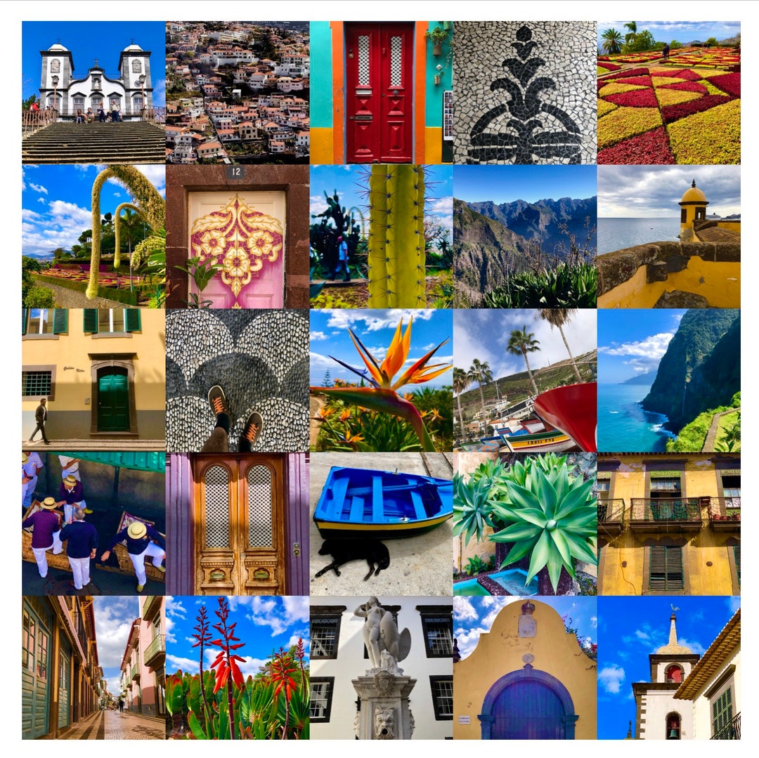 Madeira Print - Signed Square Mounted Print 30 X 30cm - Stuart Brown ...
