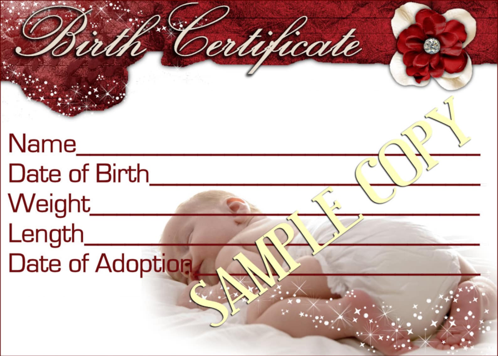 5 REBORN Baby 1 Birth Certificate Graphics YOU PRINT - Etsy