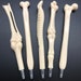 Bone Pen, Medical, Orthopedic, Funky Pen, Fun, Xray Tech, Nurse - Etsy