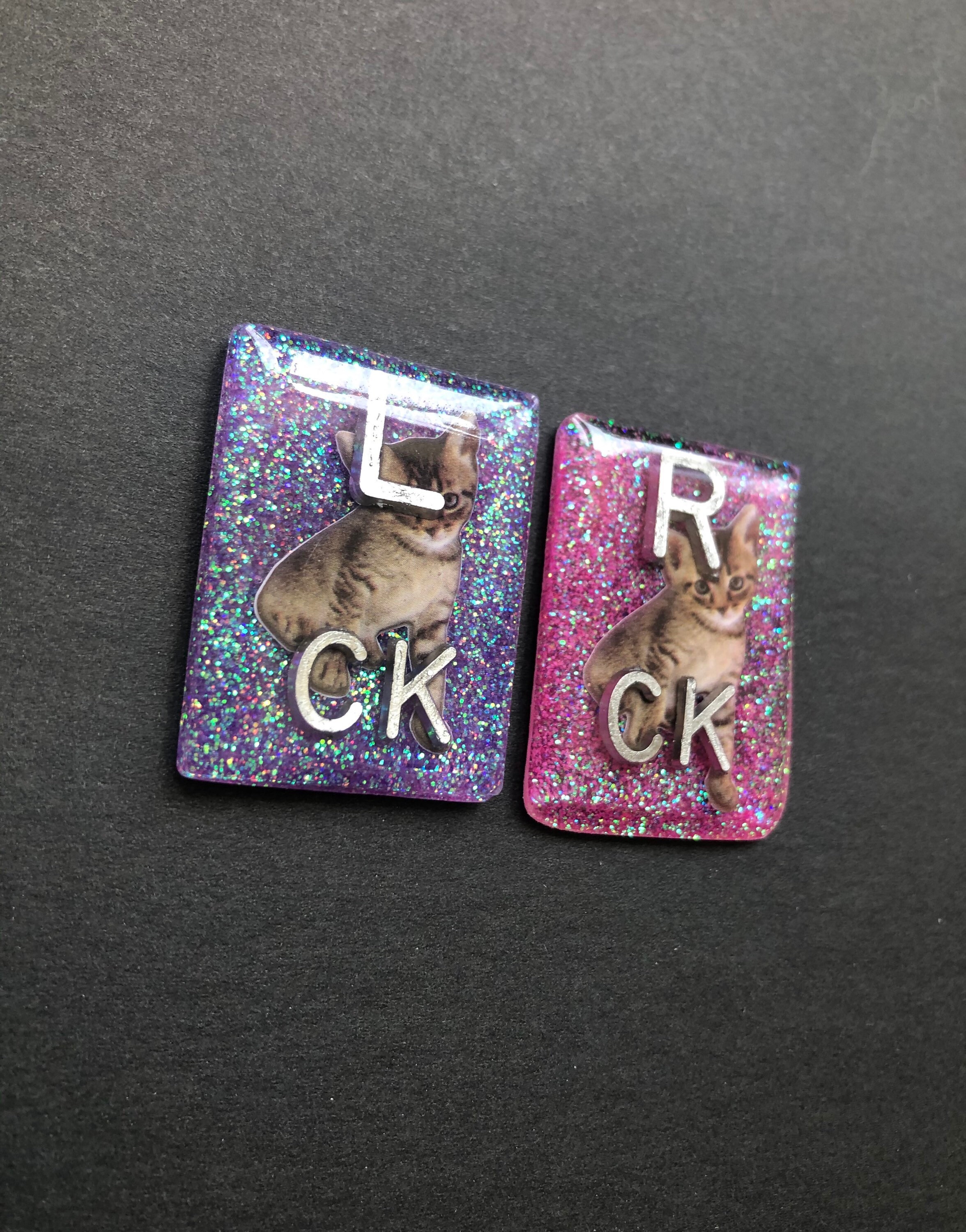 Realistic Cat Xray Markers Rectangle Glitter Cat X-ray | Etsy