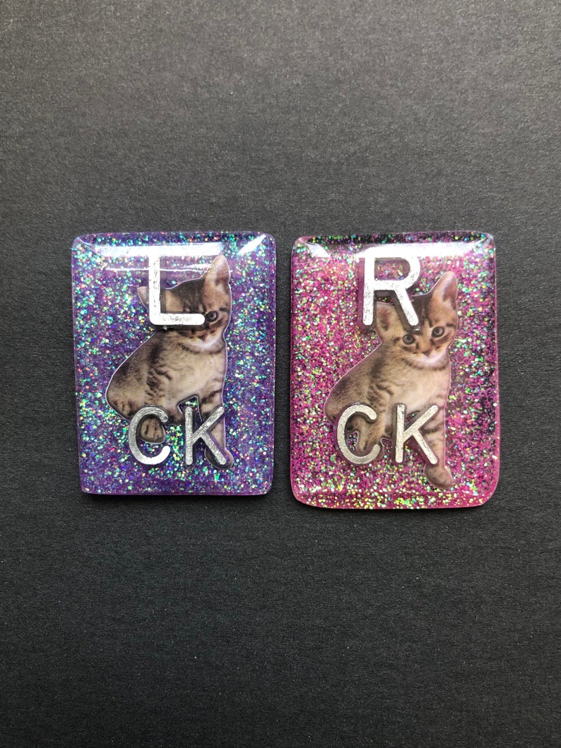 Realistic Cat Xray Markers, Rectangle, Glitter, Cat X-ray Markers, With ...