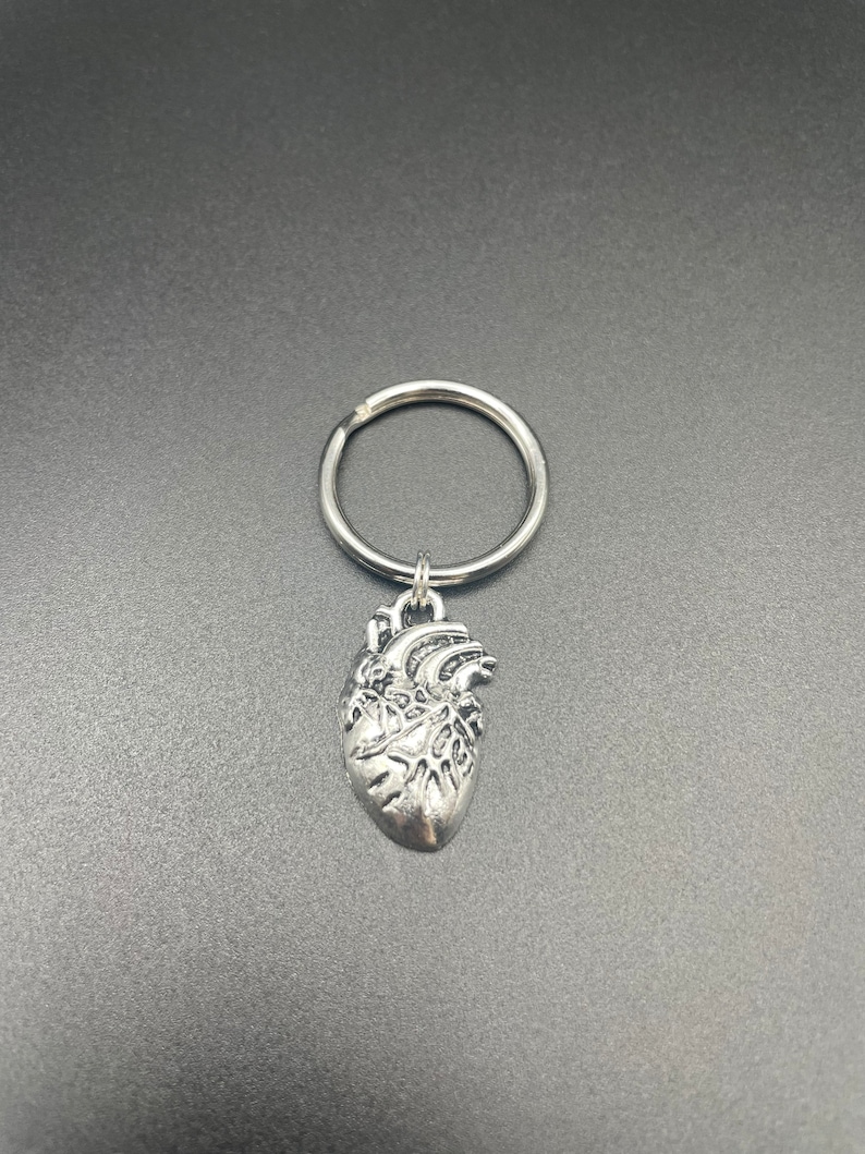 Heart Keychain, Medical, Cardiologist, Anatomy - Etsy