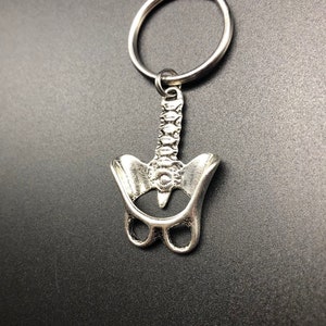 Spine and Pelvis Keychain, Chiropractor, Graduation Gift - Etsy