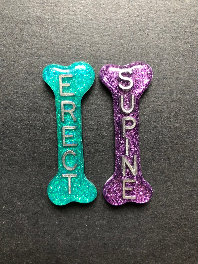 Erect or Supine Bone Xray Markers Position Indicator Word - Etsy