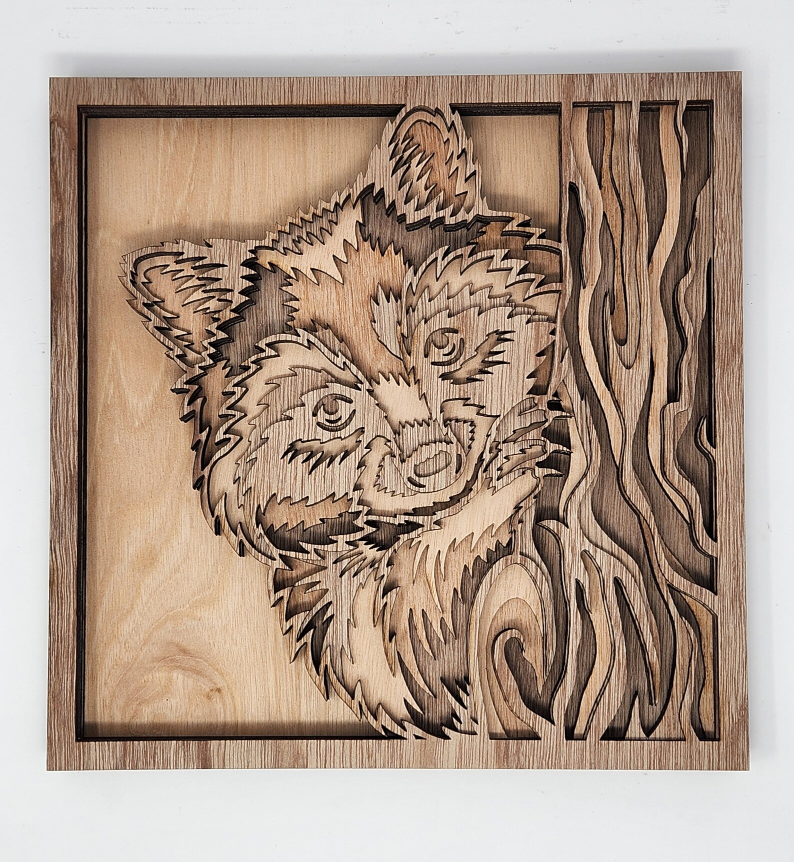 Peeking Raccoon in a Tree Scene. 3D, Multilayered Scene. Laser Cut and ...