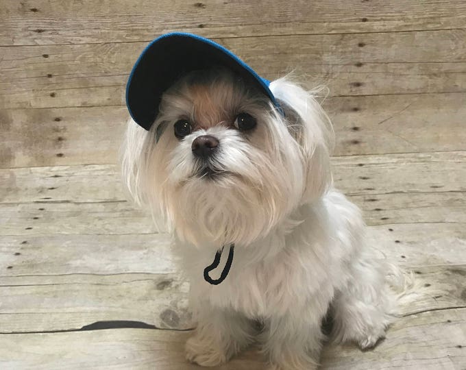 Dog Baseball Hat, Puppy Hat, Baseball Hat for Dogs, Personalized Dog ...