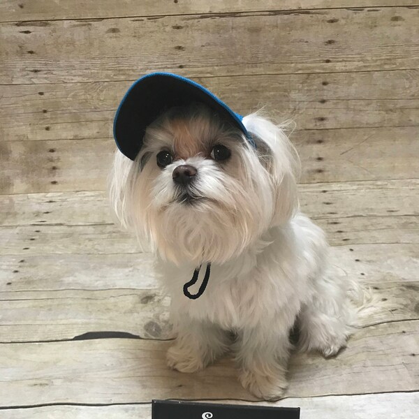 Hats for Dogs - Etsy