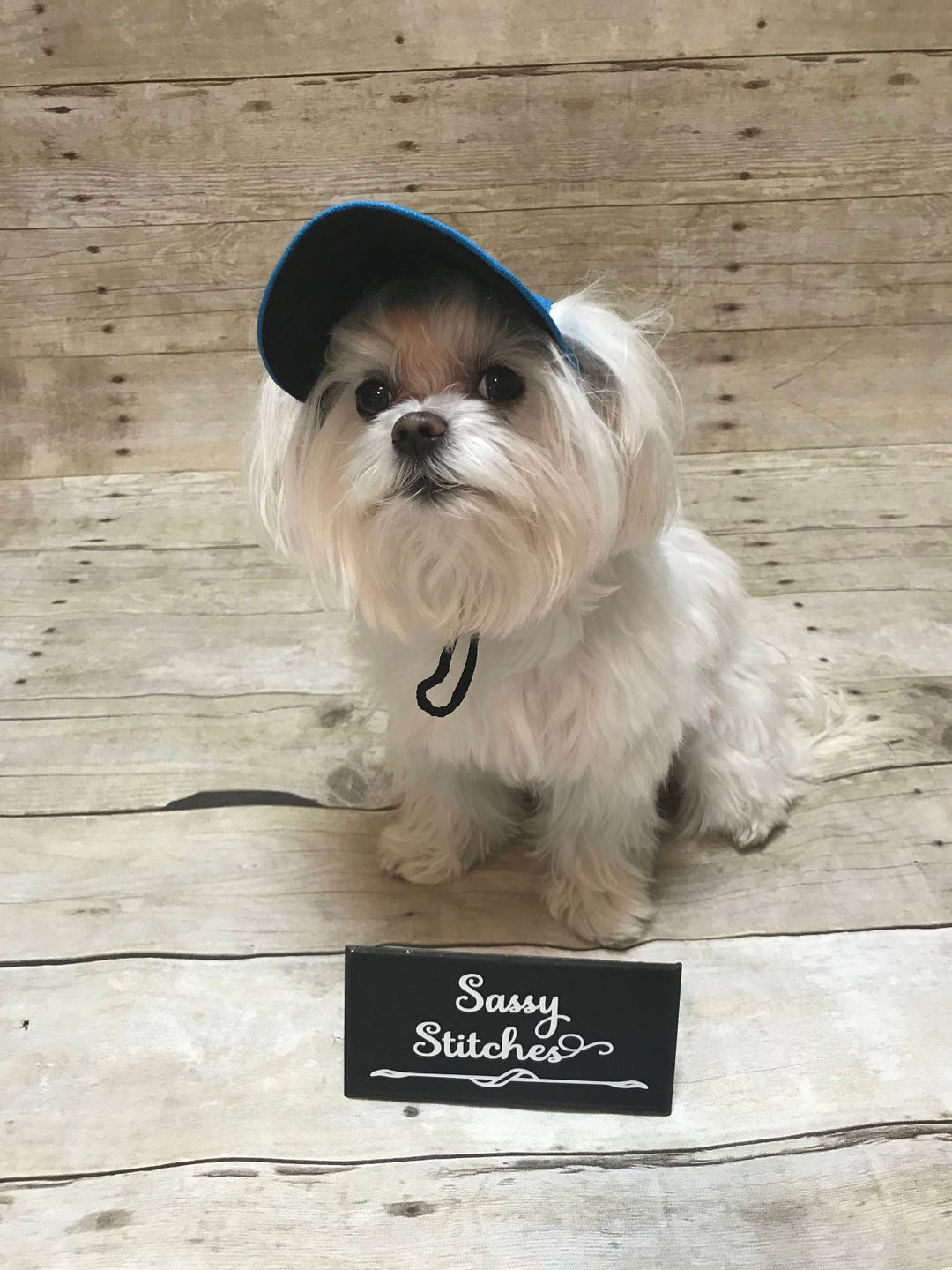 Dog Baseball Hat, Puppy Hat, Baseball Hat for Dogs, Personalized Dog ...