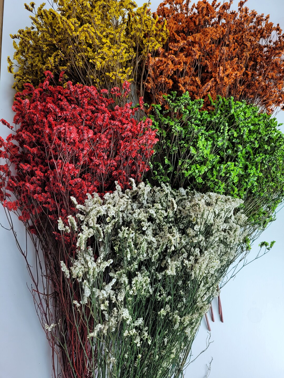 Preserved Flower Bunches Limonium Flower in Red Yellow - Etsy