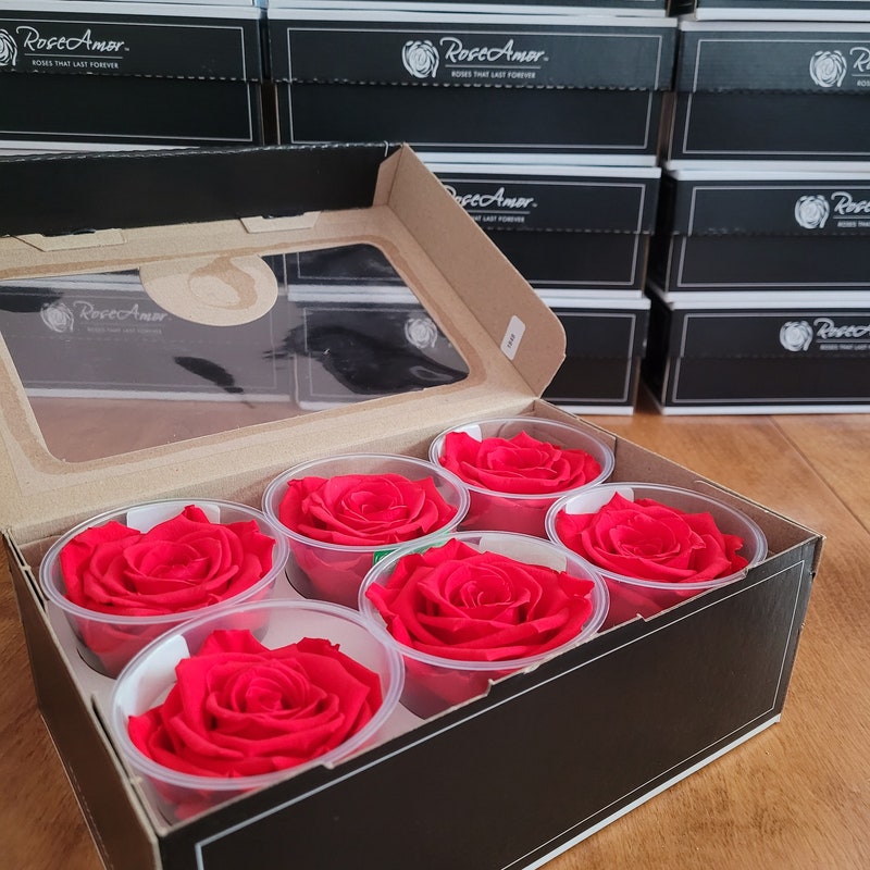Red Rose Decor - Etsy