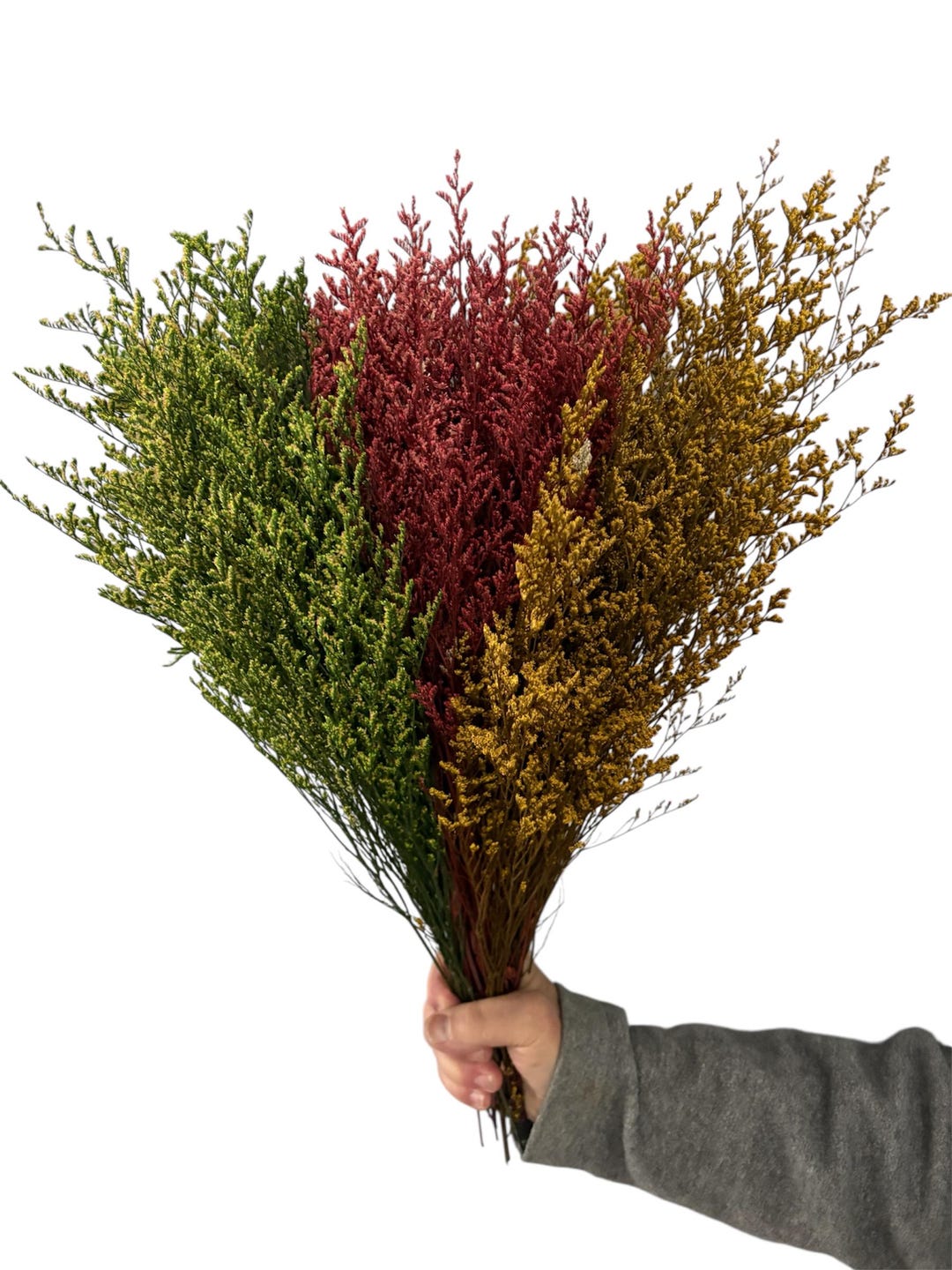 Preserved Caspia Flower Bunches in Green, Red, and Gold - Etsy