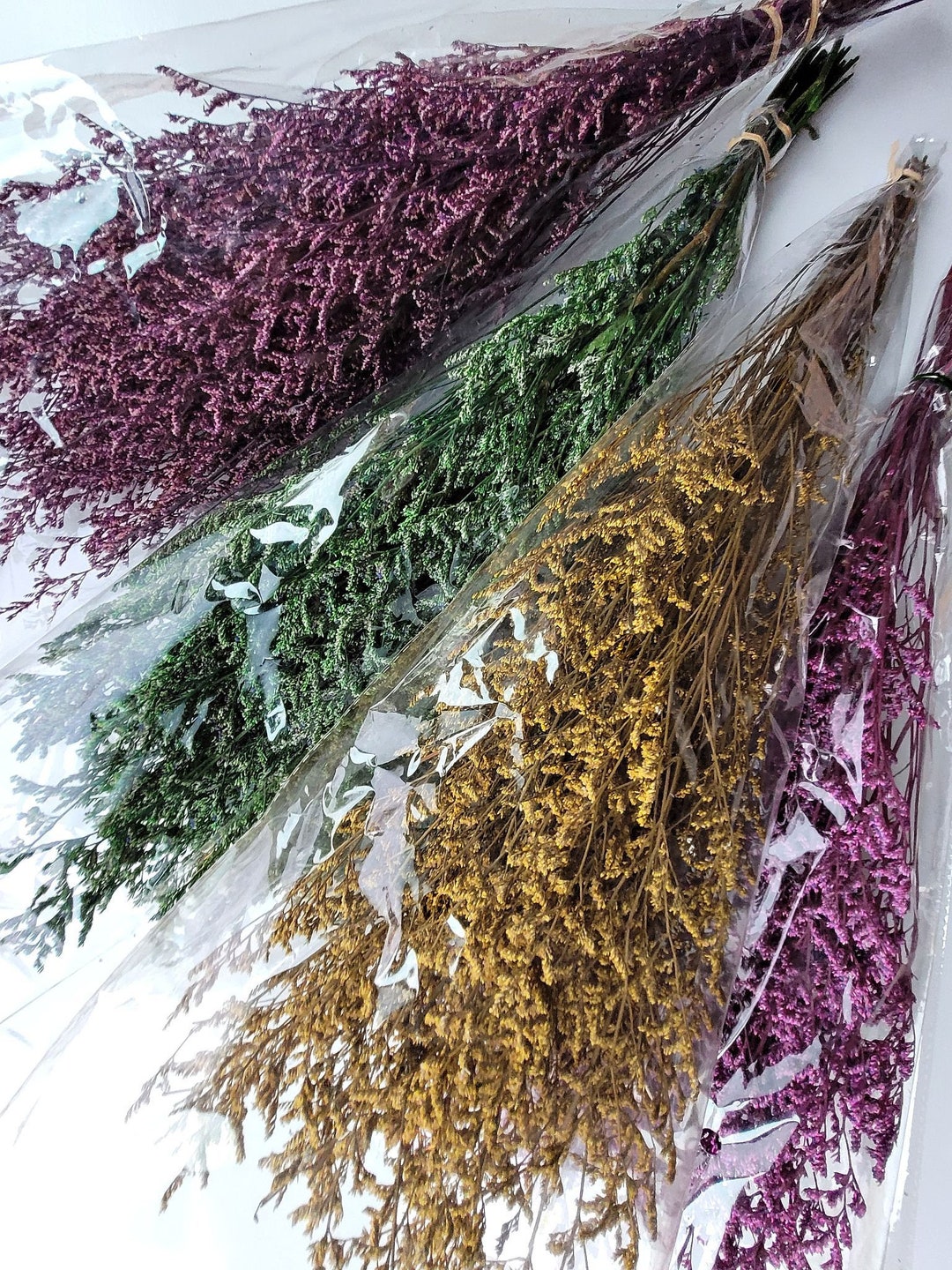 Preserved Caspia Flower Bunches in Green, Burgundy, and Gold - Etsy