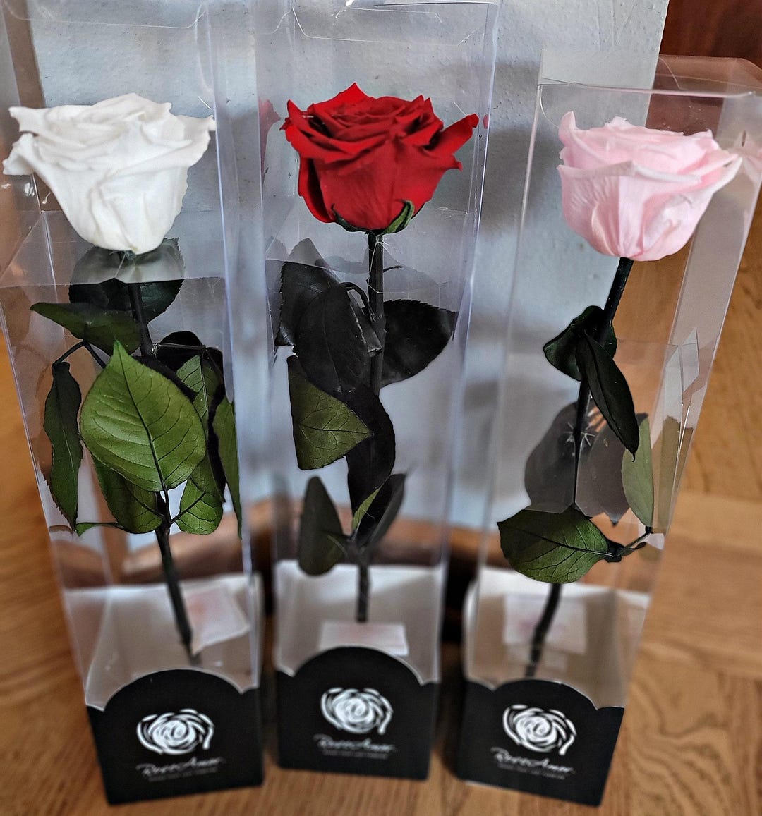 Luxury Ecuadorian Preserved Rose on Preserved Stem - Etsy