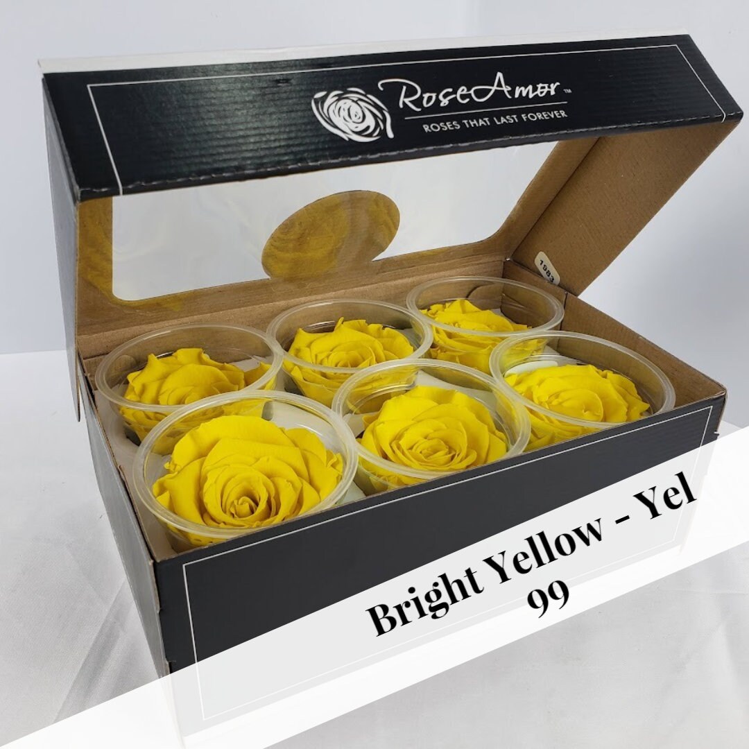 Yellow Preserved Rose Six Packs - Etsy