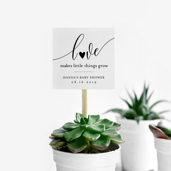 Baby Shower Succulent Tag - Etsy