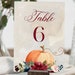 Pumpkin Table Number Card Template Printable Thanksgiving - Etsy