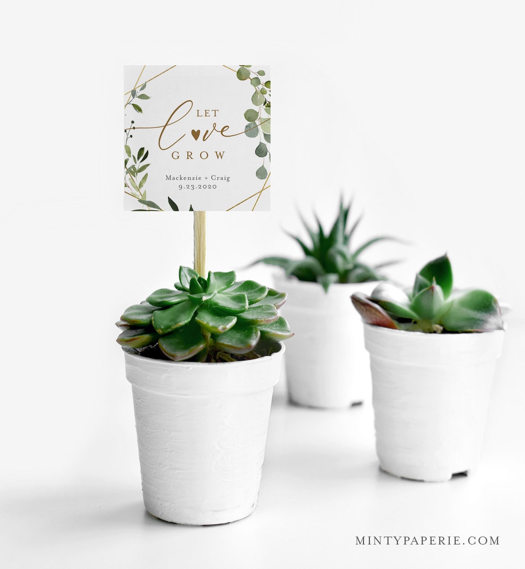 Let Love Grow Tag Template, Greenery Wedding Favor Tag, Bridal Shower ...