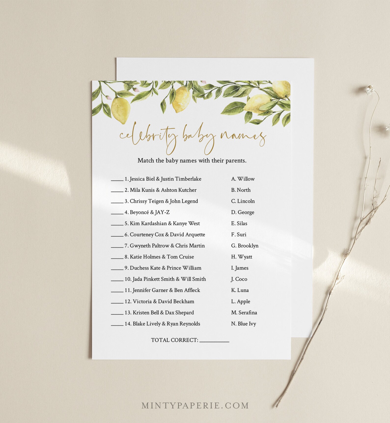 Celebrity Baby Name Game Printable Baby Shower Game Summer | Etsy