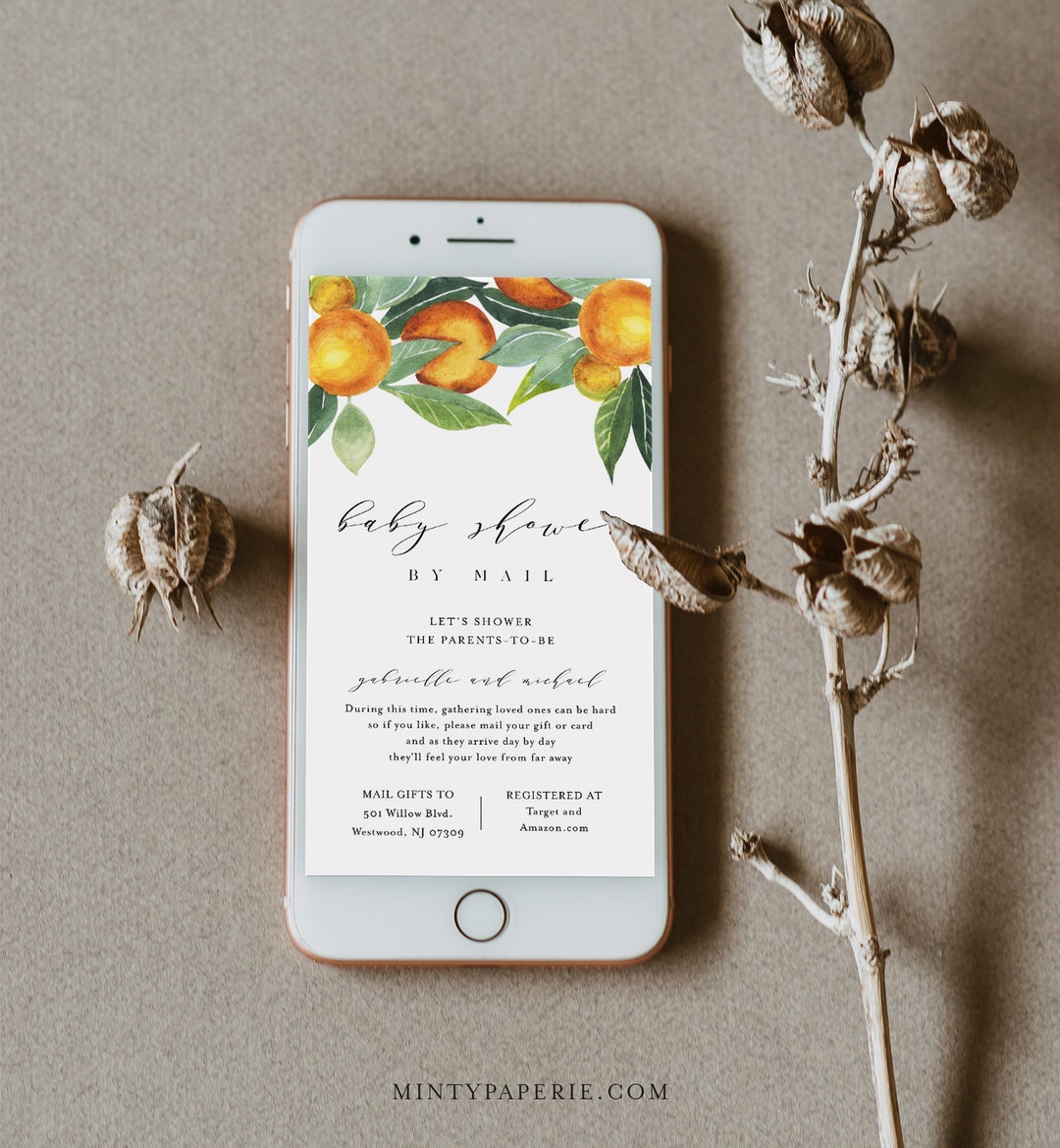 Baby Shower by Mail Template, Social Distance Quarantine Baby Shower ...