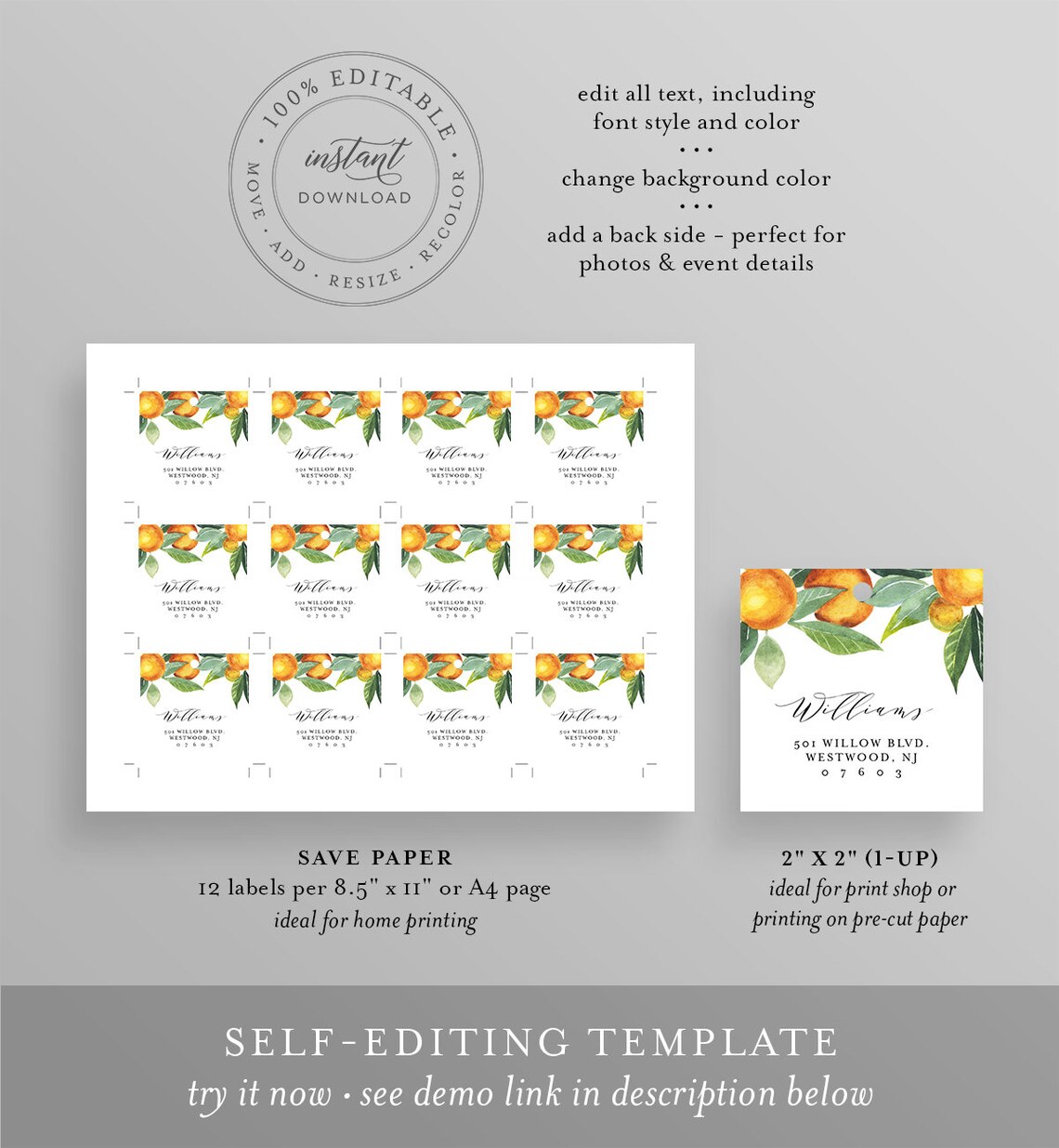 Citrus Orange Envelope Label Template Printable Return - Etsy